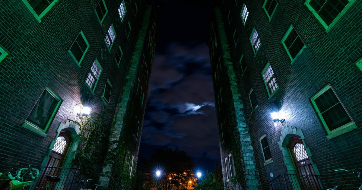 Denver: Denver Terrors Guided Ghost Tour | GetYourGuide