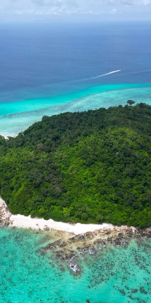 Phi Phi: Avoid The Crowds Speedboat to Maya Bay at Sunrise | GetYourGuide