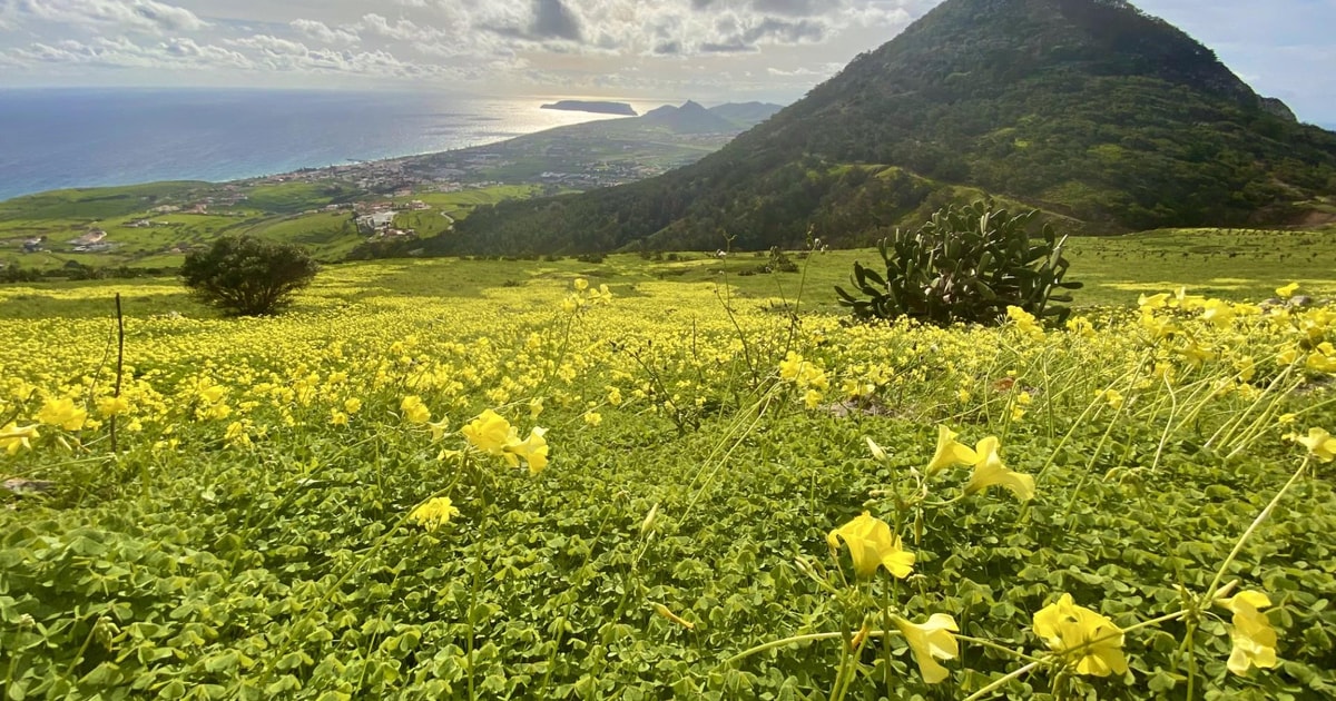 Pico Castelo & Pico Facho Vereda: Walk with Spectacular View | GetYourGuide