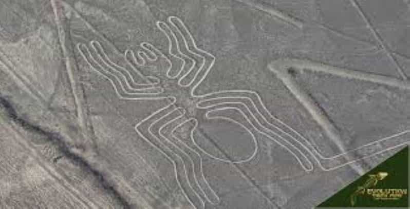 Exploring the Ancient Nazca Lines from the Sky | Full Day | | GetYourGuide