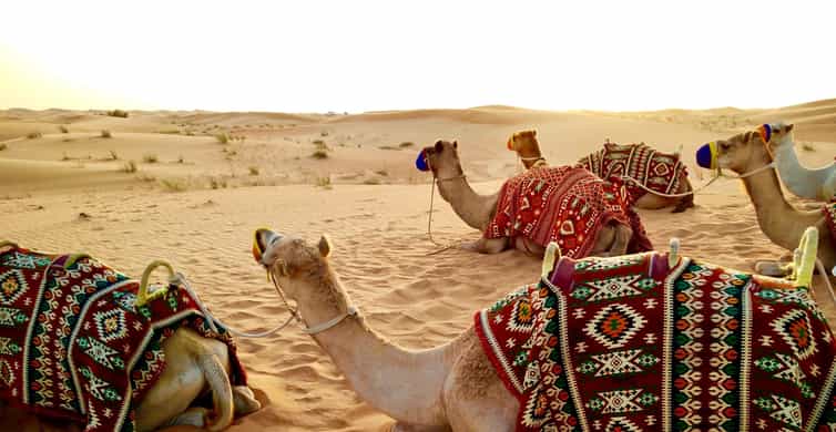 Qatar Desert Safari: Camel Ride, Sandboarding, Inland Sea. | GetYourGuide