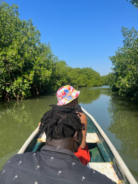 Ecotoer en vissen in de natuurlijke mangrove van Cartagena | GetYourGuide