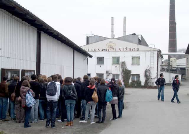 Nizbor Glass Factory Tour | GetYourGuide
