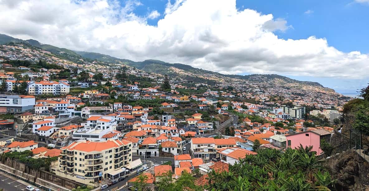 Funchal Allures: City Tour, Best View Points & D. do Cavacas | GetYourGuide