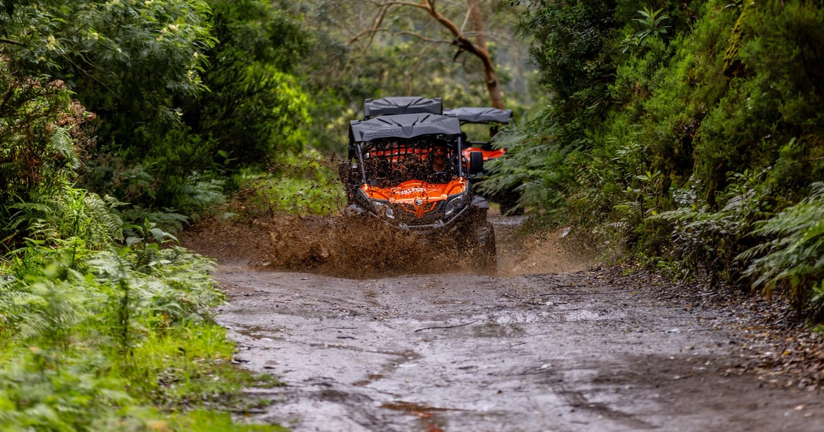 Madeira: OFF-ROAD BUGGY ADVENTURE TO FUNDURAS | GetYourGuide