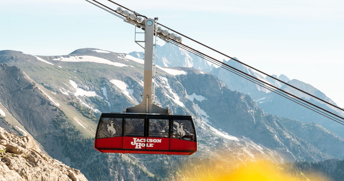Jackson Hole: Aerial Tram og gondoler Sightseeing | GetYourGuide
