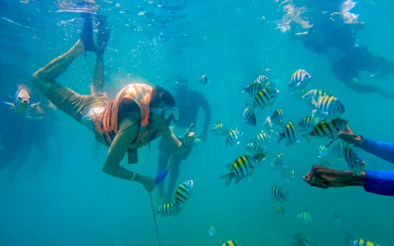 Tour Manglares de Baru + Plancton Luminoso | GetYourGuide