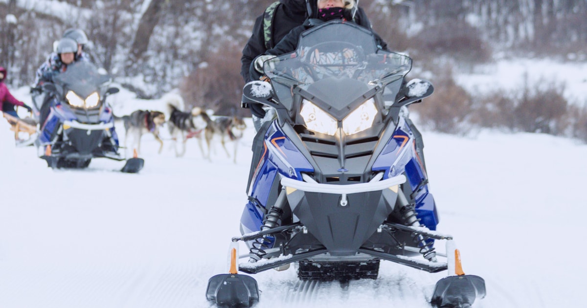 Ushuaia: Antarctic Experience W/Snowmobile Ride & Transfer | GetYourGuide
