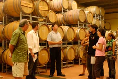 From Sydney: Hunter Valley Wine Tour with Cheese Tasting | GetYourGuide