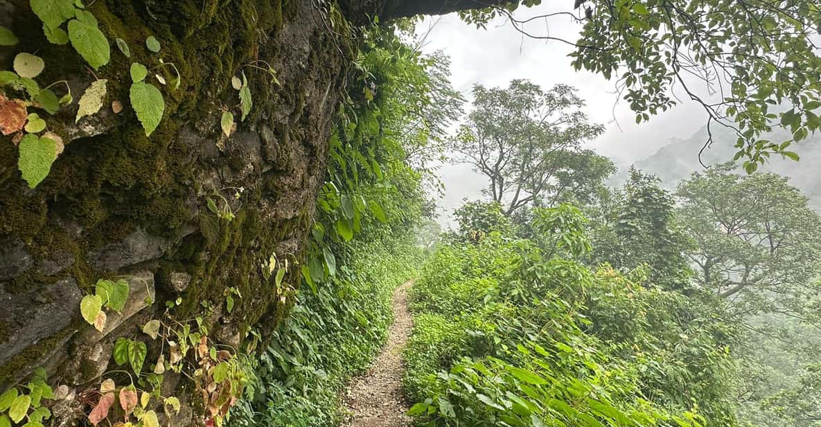 Zonsopkomstwandeling in Rishikesh | GetYourGuide