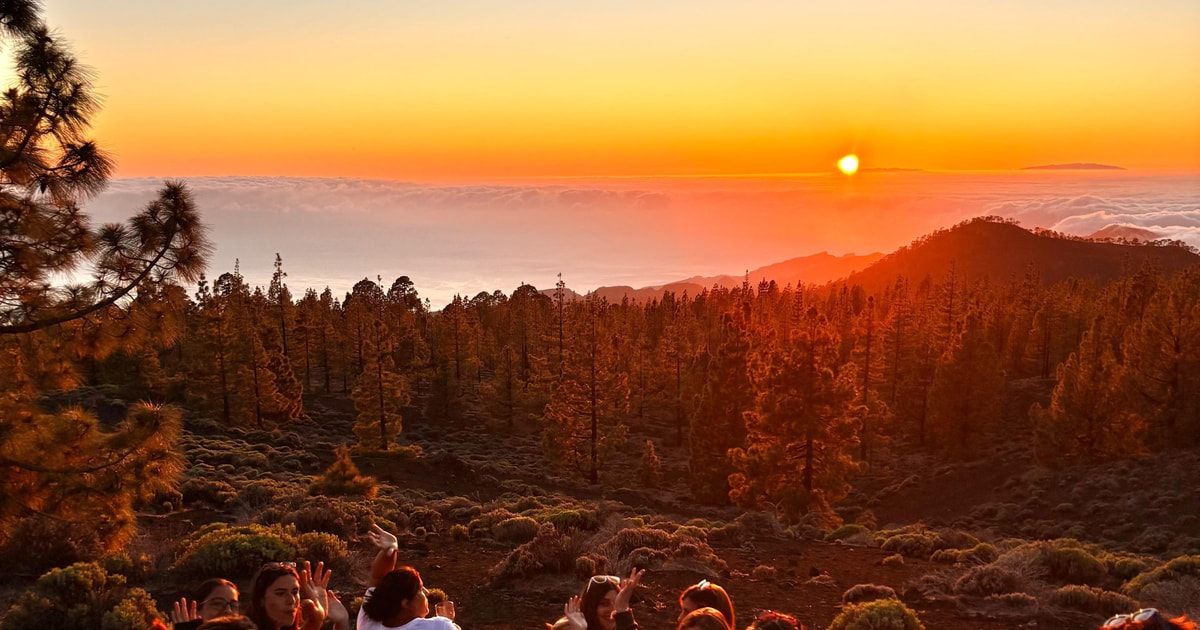 Mount Teide Sunset Picnic & Stargazing Tour - Tenerife | GetYourGuide