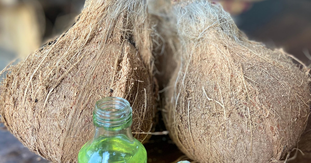 Traditional Bali Cococut Oil Class | GetYourGuide