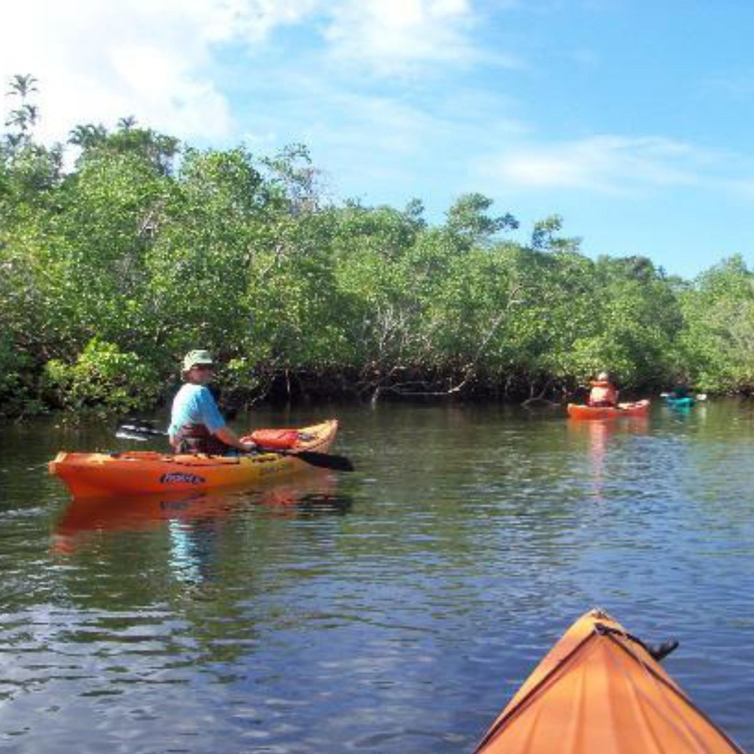 Isola di Pemba: Chake Chake, kayak e tour delle piantagioni di spezie ...