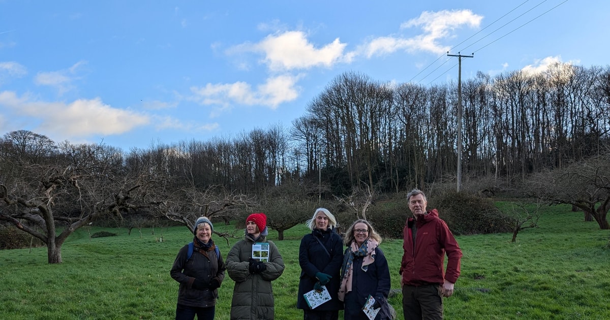 Guided Nature Tour: Pilgrims Way & Bigbury Fort | GetYourGuide