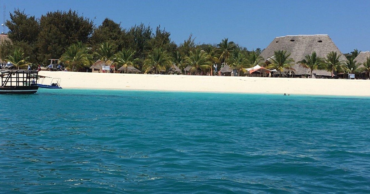 Zanzibar Dolphin Tour, Jozani Forest, Paje beach & Kuza Cave | GetYourGuide