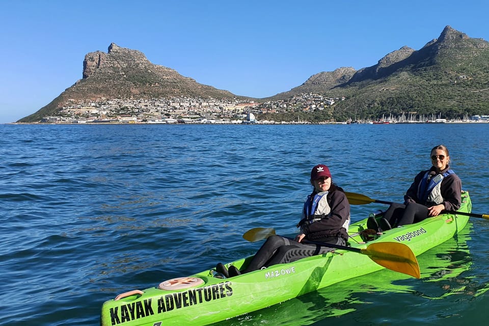 Cape Town: Guided Kayaking in Hout Bay | GetYourGuide