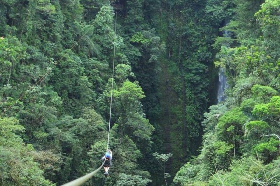 Excursión en Canopy | GetYourGuide