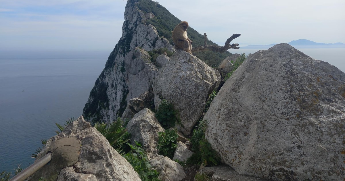 Gibraltar Sightseeing : Premium Tour with a Local Guide | GetYourGuide