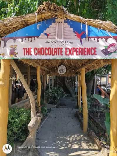 Roatan: Zipline, Sloths & Monkeys hang out plus Island Tour | GetYourGuide