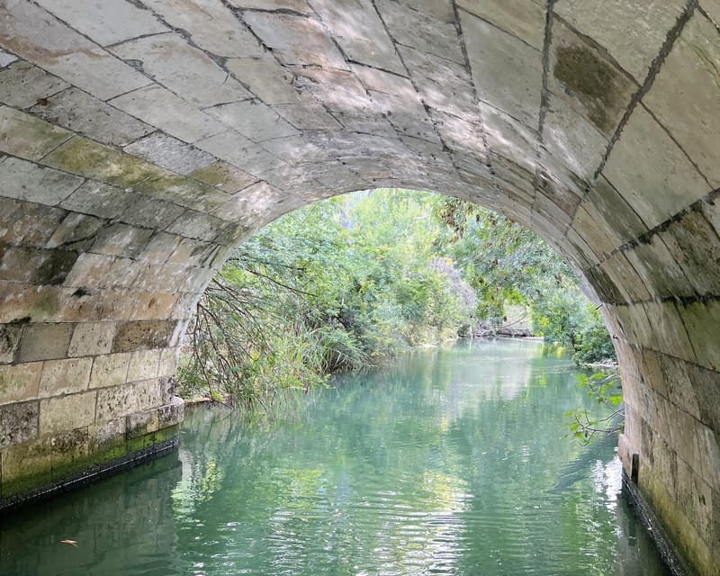 Syrakus: Geführte Kanufahrt im Ciane River Nature Reserve | GetYourGuide