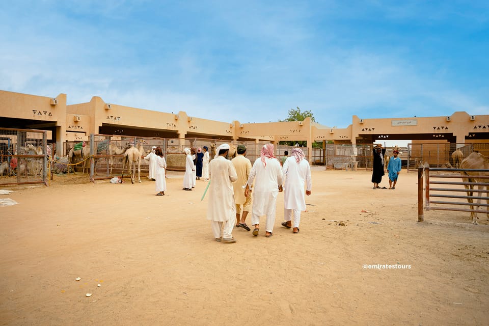 Abu Dhabi: Full-Day Al Ain Tour with Entry Tickets and Meal | GetYourGuide