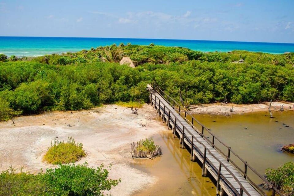 Cozumel: Private Buggy Tour to Punta Sur Park | GetYourGuide