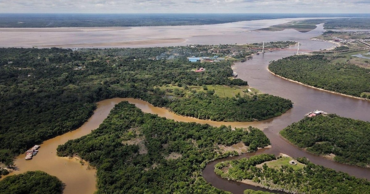 Full Day | Exploring the Amazon rainforest | GetYourGuide