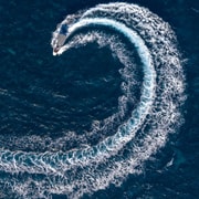 Mallorca Port d'Alcúdia - Private Boat Excursion - 2026 (Verified Reviews)
