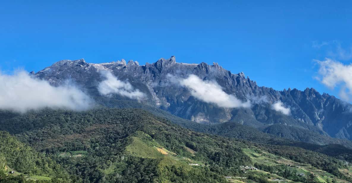 Kota Kinabalu: Poring Hot Spring, and Kinabalu Park Day Trip | GetYourGuide