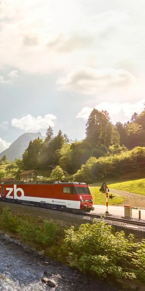 Switzerland: Half-Fare Card for Trains, Buses, and Boats | GetYourGuide