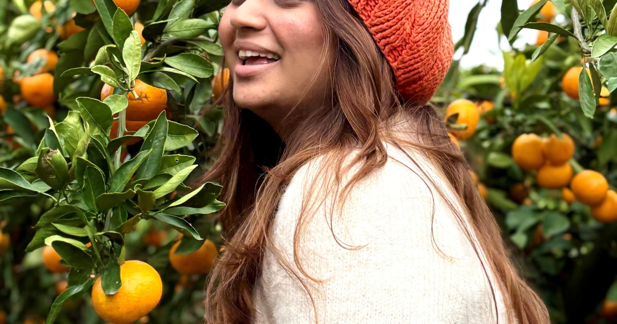 Jeju: Small Group Tour w/ Camellia & Tangerine Picking | GetYourGuide