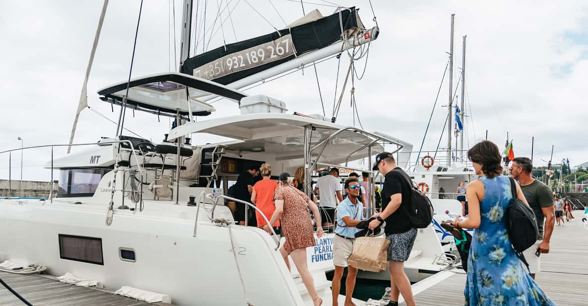 Funchal Bay: Dolphin & Whale Watch Luxury Catamaran Cruise | GetYourGuide