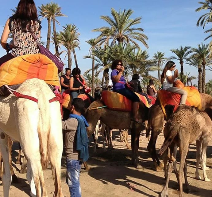 Marrakech Camel Ride in the Oasis Palmeraie and Desert | GetYourGuide
