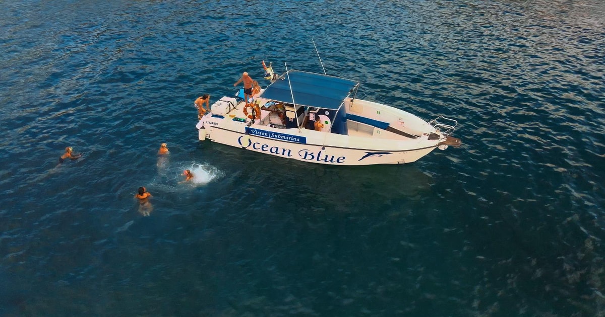 Privatcharter Privatcharter zu den Walen - 8 Stunden | GetYourGuide