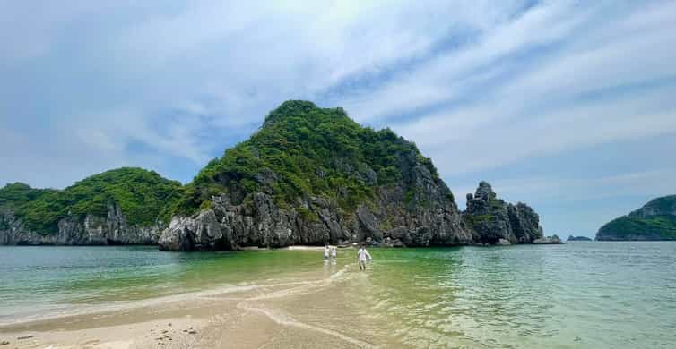 Cat Ba Island: Lan Ha Bay Bioluminescence Plankton Kayaking | GetYourGuide