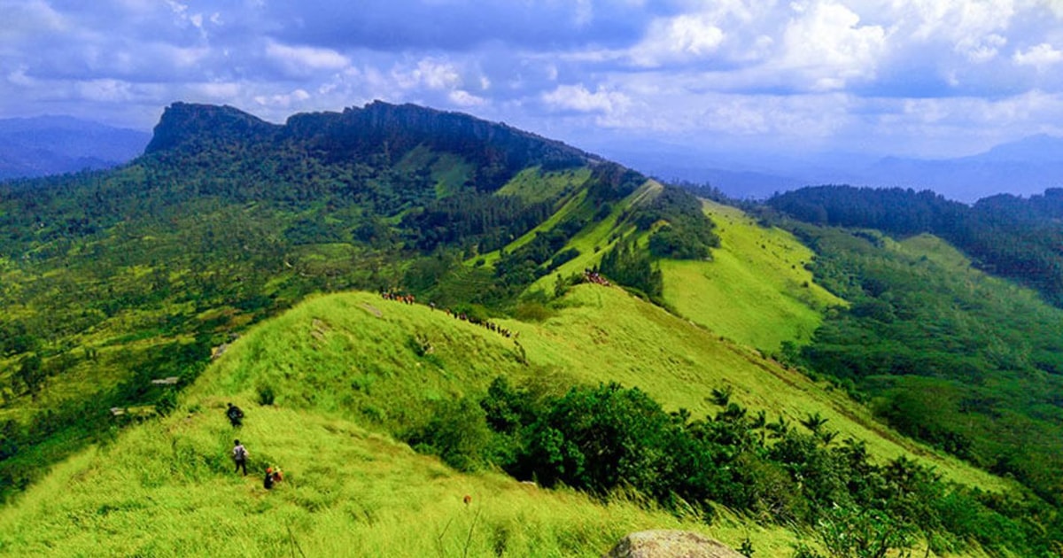 Kandy: The Pekoe Trail ( Hanthana To Galaha ) | GetYourGuide