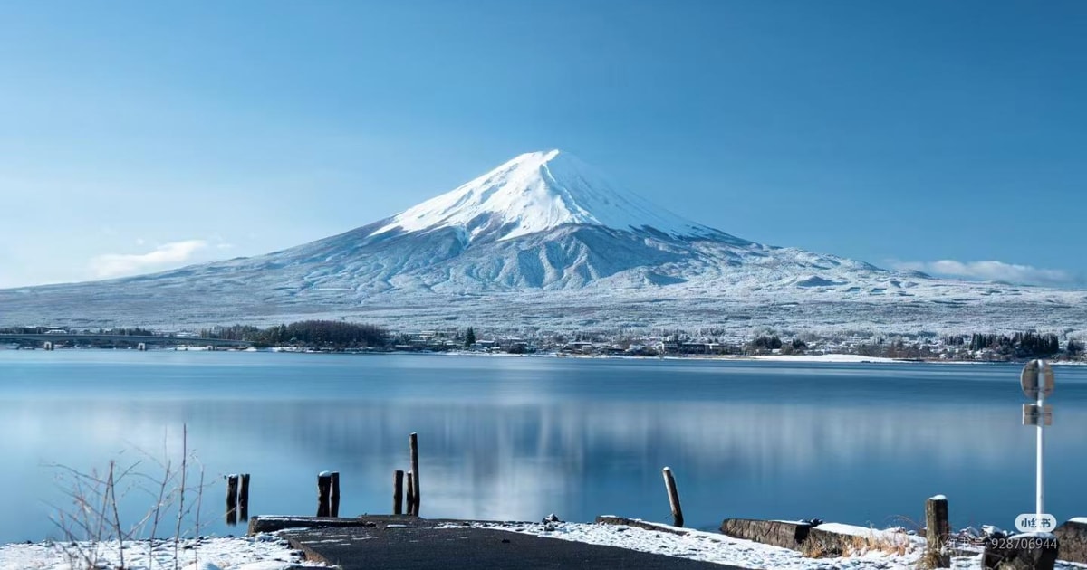 Tokyo: Mt. Fuji Cherry Blossom DayTrip & Yamanaka Hot Spring | GetYourGuide