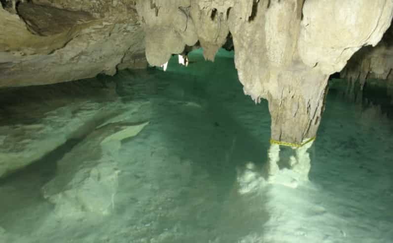 Snorkeling & Underground Cenotes Half-Day Tour from Tulum | GetYourGuide