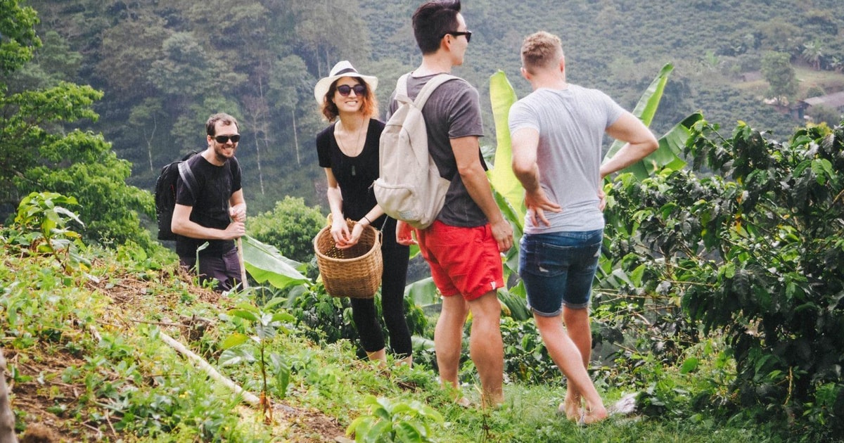 From Arusha : Materuni waterfalls & coffee tour day trip | GetYourGuide