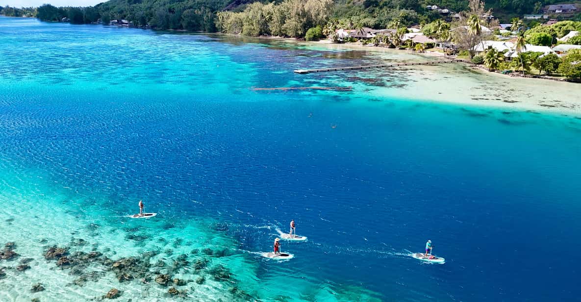 Excursión privada E-Board por la laguna de Moorea | GetYourGuide