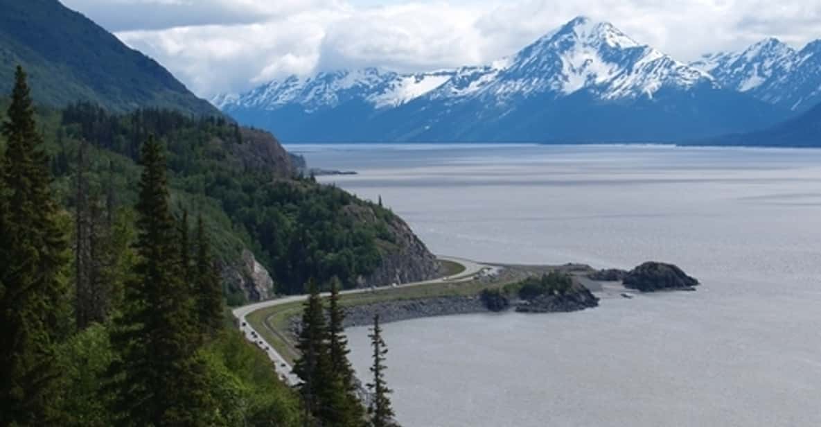 Anchorage: Turnagain Arm Tour | GetYourGuide