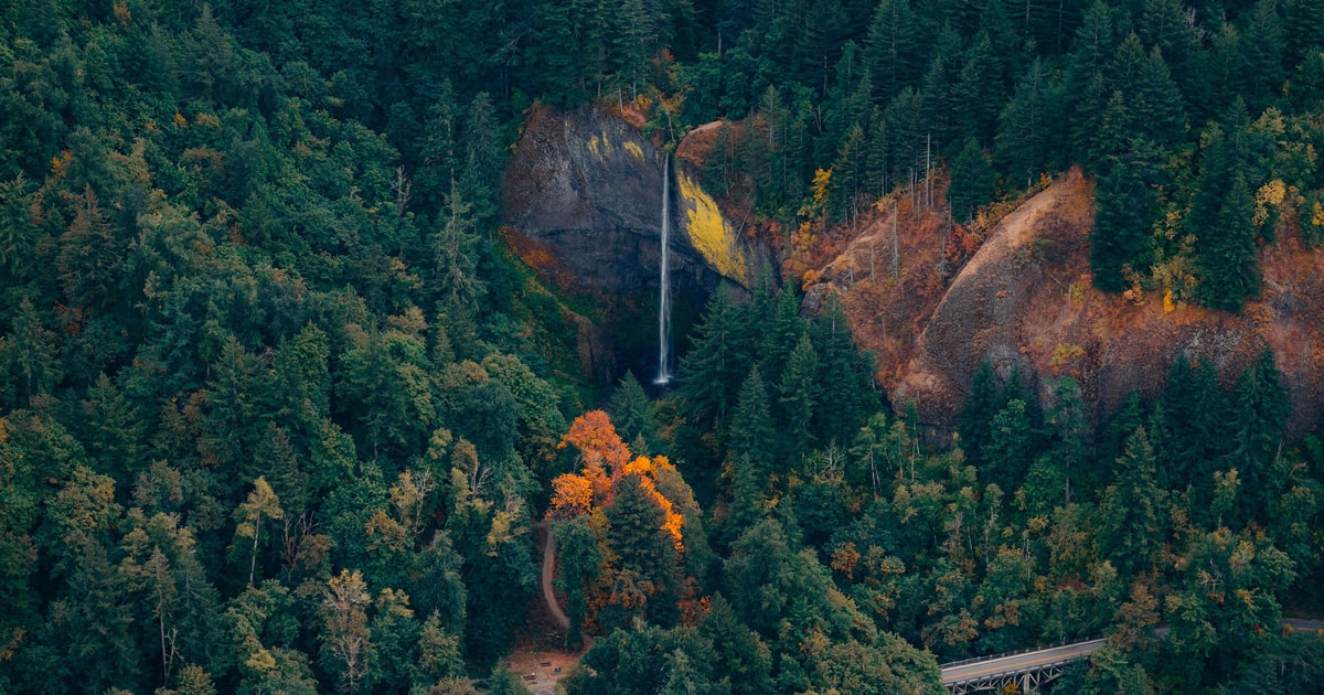Portland: tour panorámico en avión por las cataratas Multnomah ...