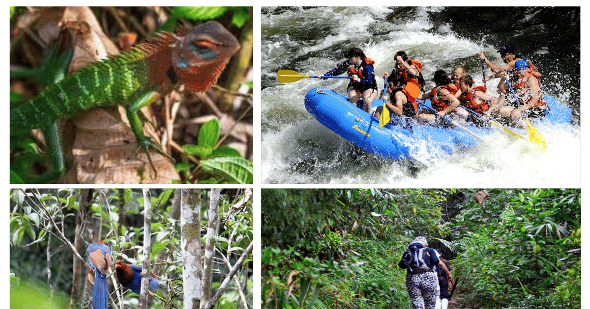 Colombo: Water rafting, Bird Watching, Village & Rainforest | GetYourGuide