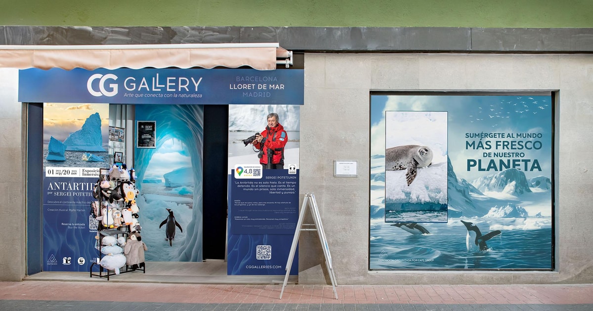 Antarctica Interactive Experience | GetYourGuide