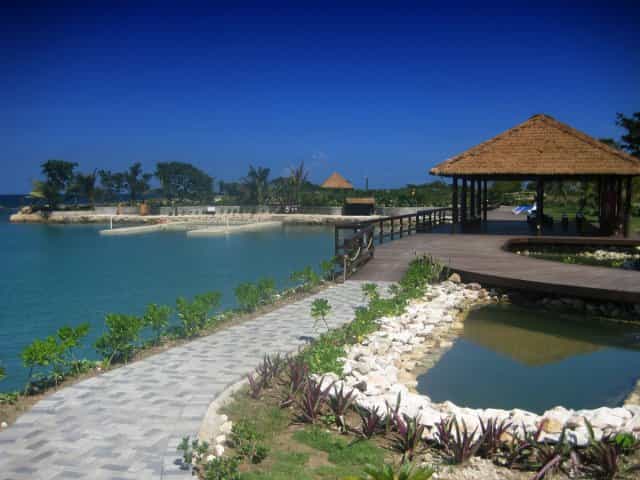 Swim with the Dolphins at Negril's Dolphin Cove | GetYourGuide