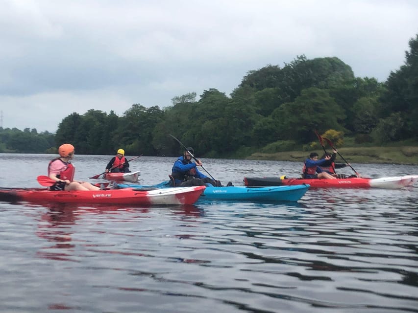 Perth: Willowgate to Newburgh Guided Kayaking Tour | GetYourGuide