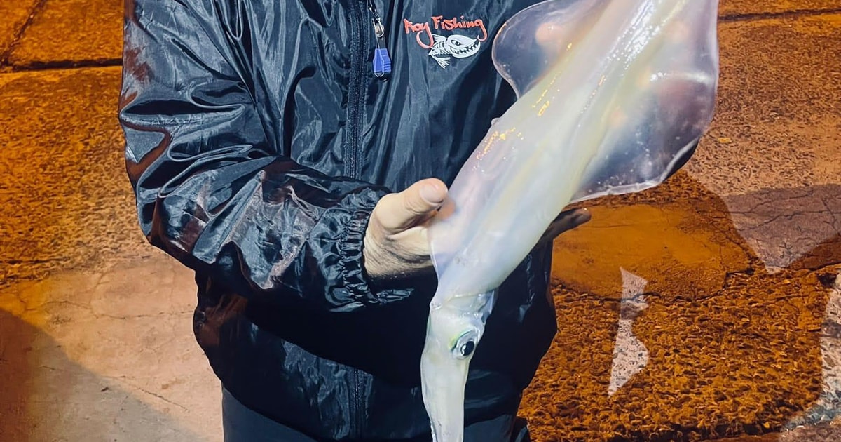ΤΑΟΡΜΙΝΑ: ΑΛΙΕΙΑ ΑΠΟ ΣΚΑΦΟΣ ΜΕ ΤΟΝ ROY FISHING | GetYourGuide