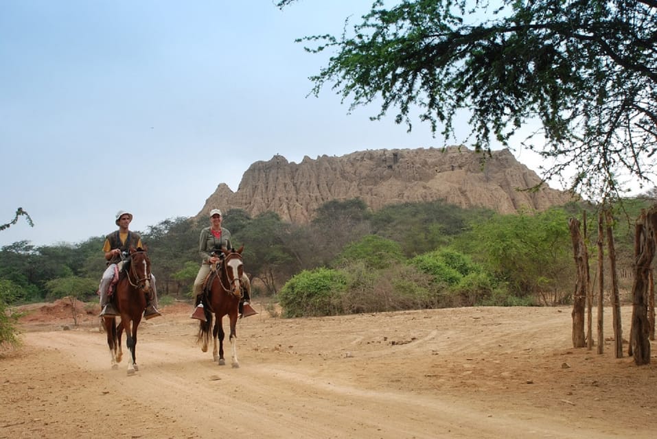 Chiclayo: Pomac Forest Historic Sanctuary & Sican Museum | GetYourGuide