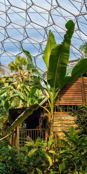 Cornwall: Eden Project Admission Ticket | GetYourGuide