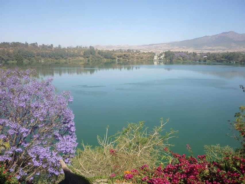 Day Tour to Debre zeit | GetYourGuide